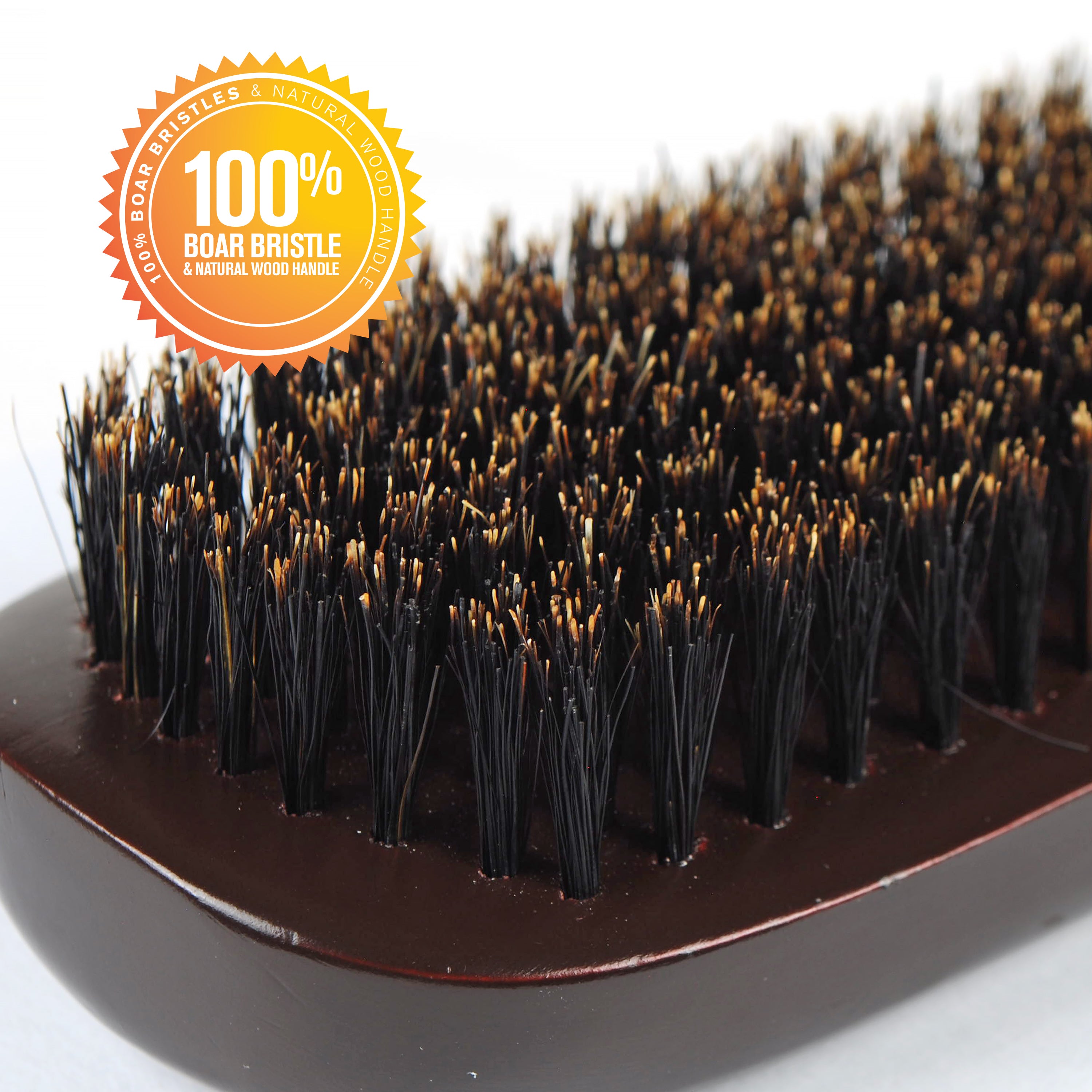 WavEnforcer® Military Brush 585 – Firstline Brands